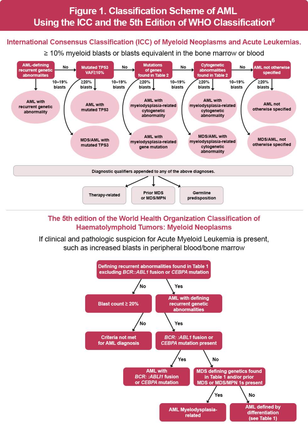 Genetic and Molecular Assessment | Leukemia